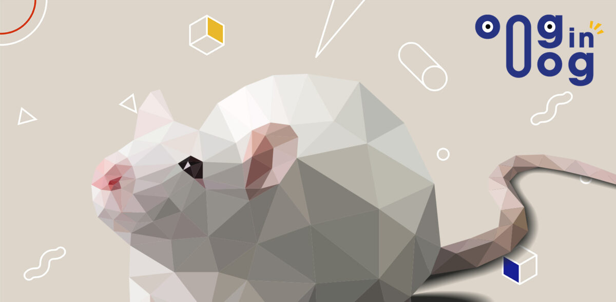 Les 8: Over dierproeven en proefdieren | 2e en 3e graad secundair | Oog ...